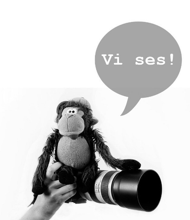 vi ses - Gävle City